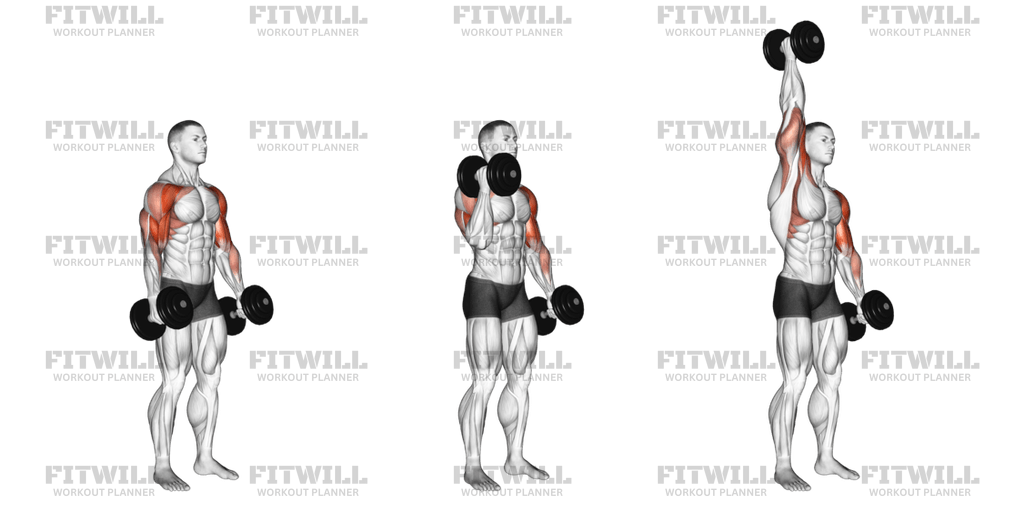 Dumbbell Standing Alternate Hammer Curl And Press: Exercise Guide ...