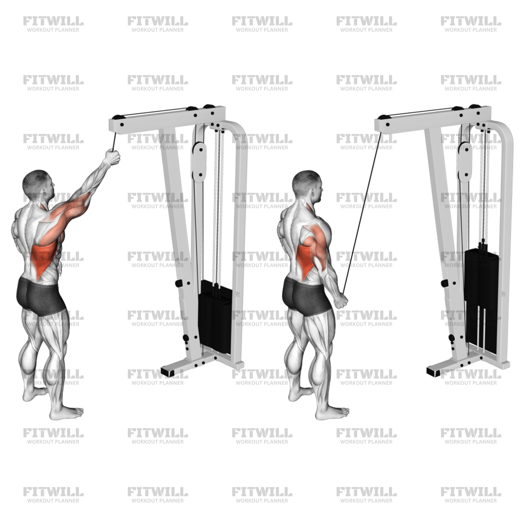 Cable One Arm Pulldown: Exercise Guide, Video, Techniques, Benefits ...