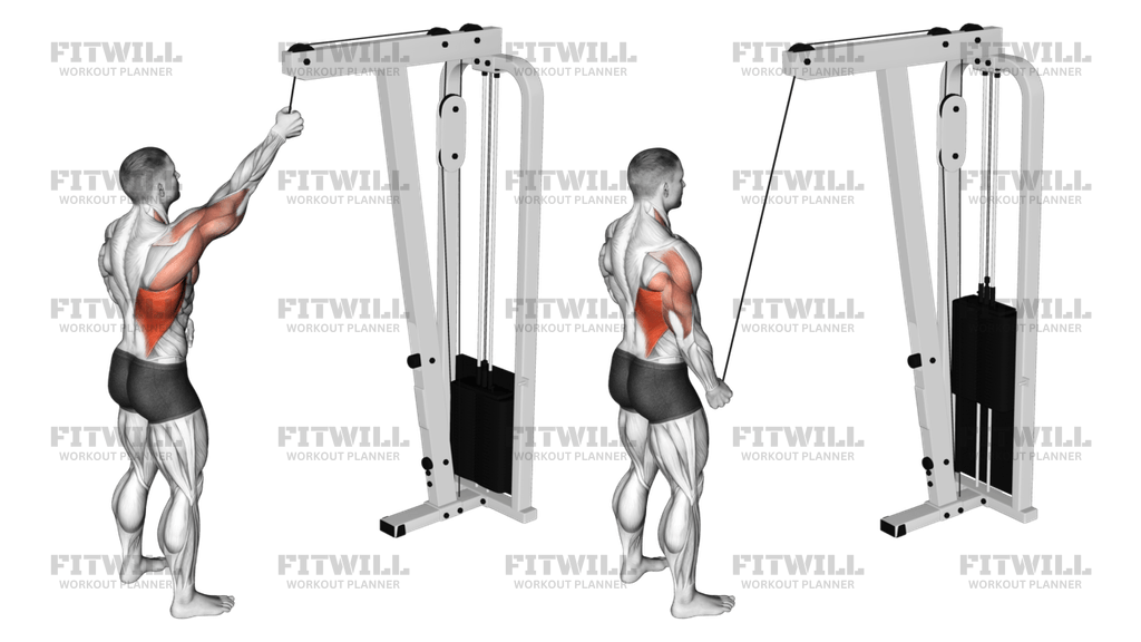 Cable One Arm Pulldown: Exercise Guide, Video, Techniques, Benefits ...