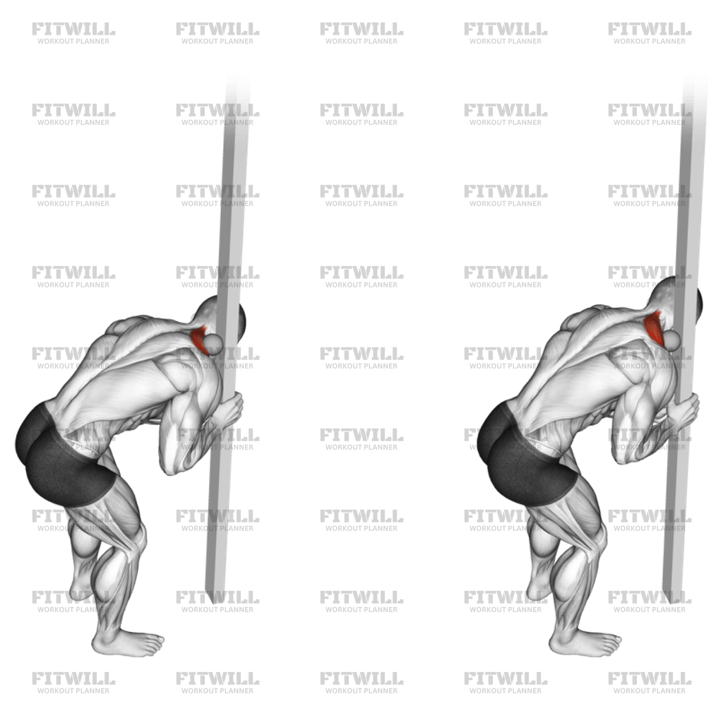 Roll Ball Upper Trapezius Release: Exercise Guide, Video, Techniques ...