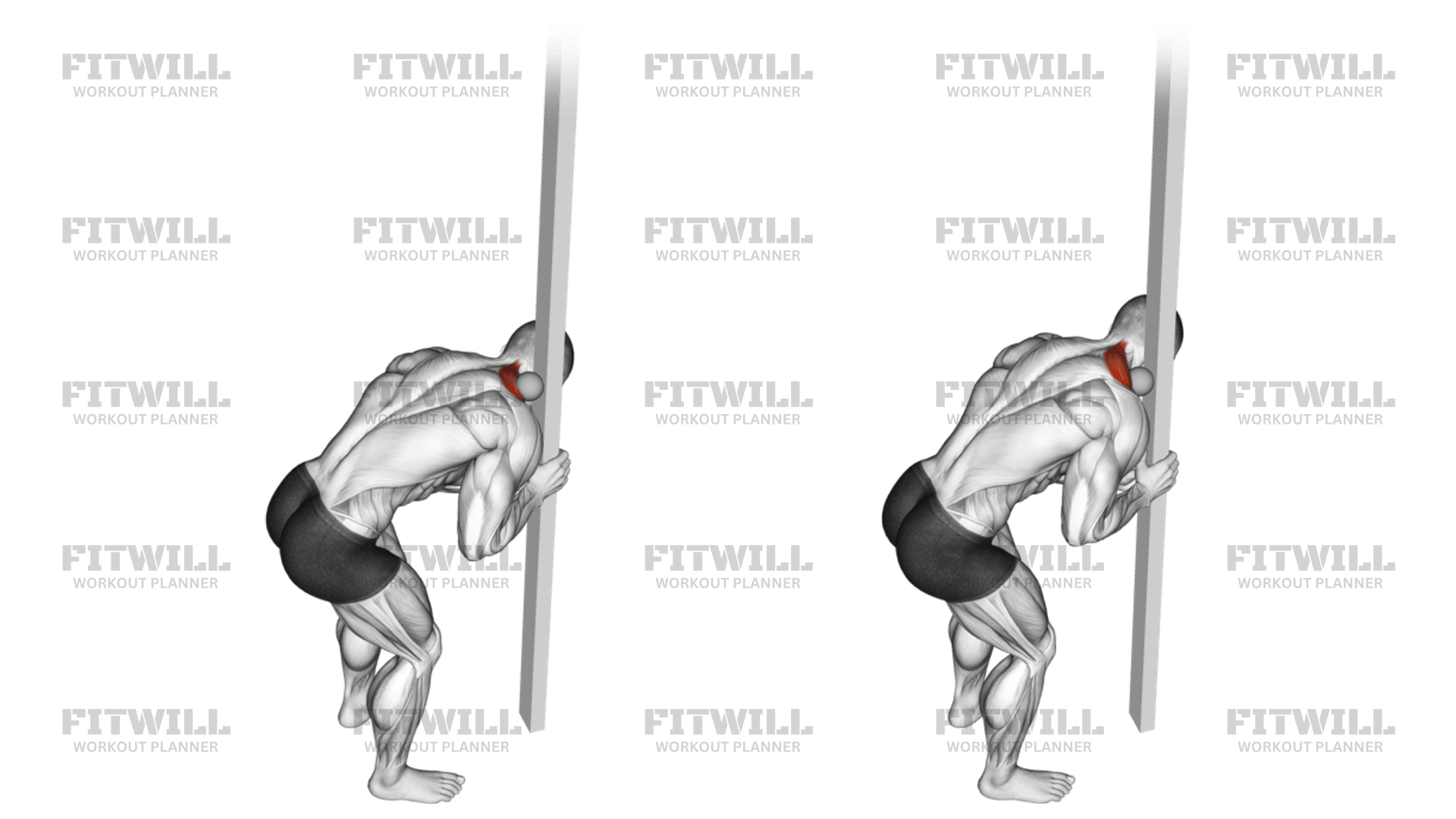 Roll Ball Upper Trapezius Release: Exercise Guide, Video, Techniques ...