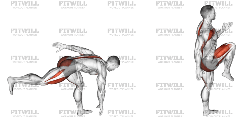 Single Leg Deadlift With Knee Lift: Exercise Guide, Video, Techniques ...