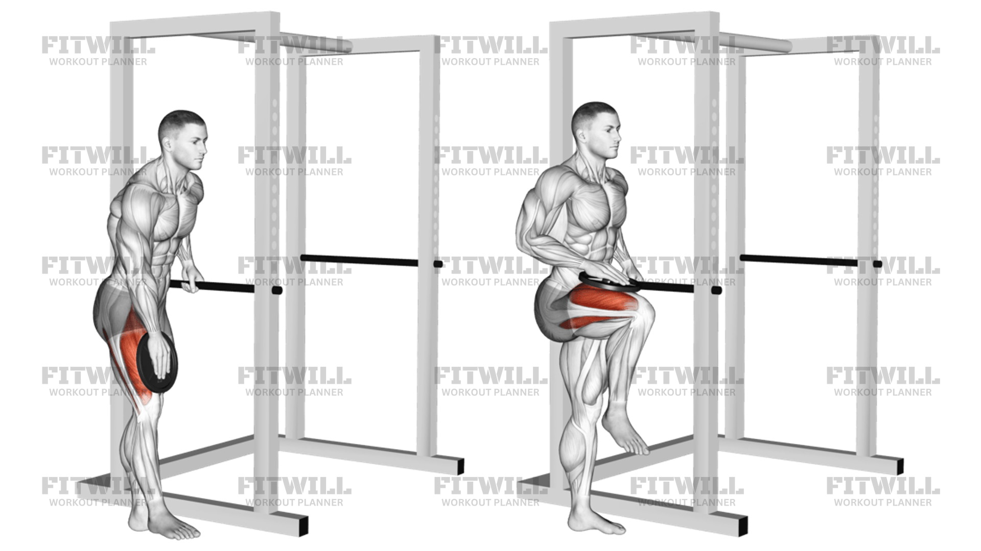 Weighted Single Leg Lift: Exercise Guide, Video, Techniques, Benefits ...