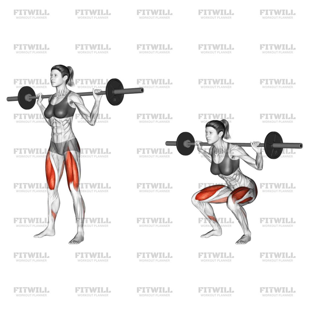 Sentadilla Con Barra: Guía de Ejercicios, Video, Técnicas, Beneficios ...