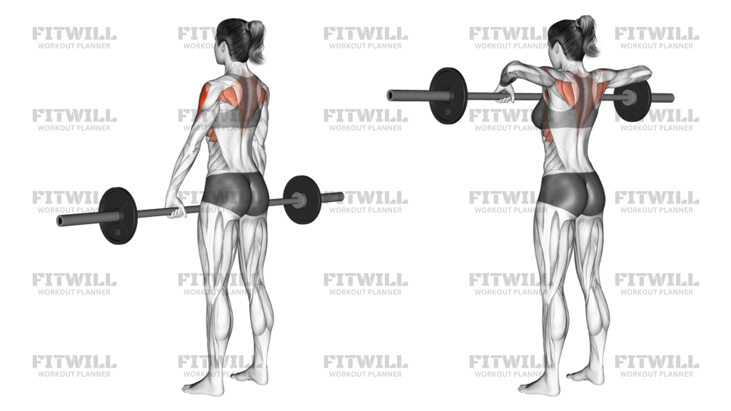 Remo Vertical Con Barra Y Agarre Amplio: Video de Ejercicio | Fitwill