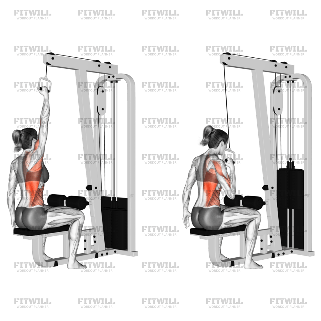 Cable One Arm Lat Pulldown: Exercise Guide, Video, Techniques, Benefits, How to, Muscles Worked ...