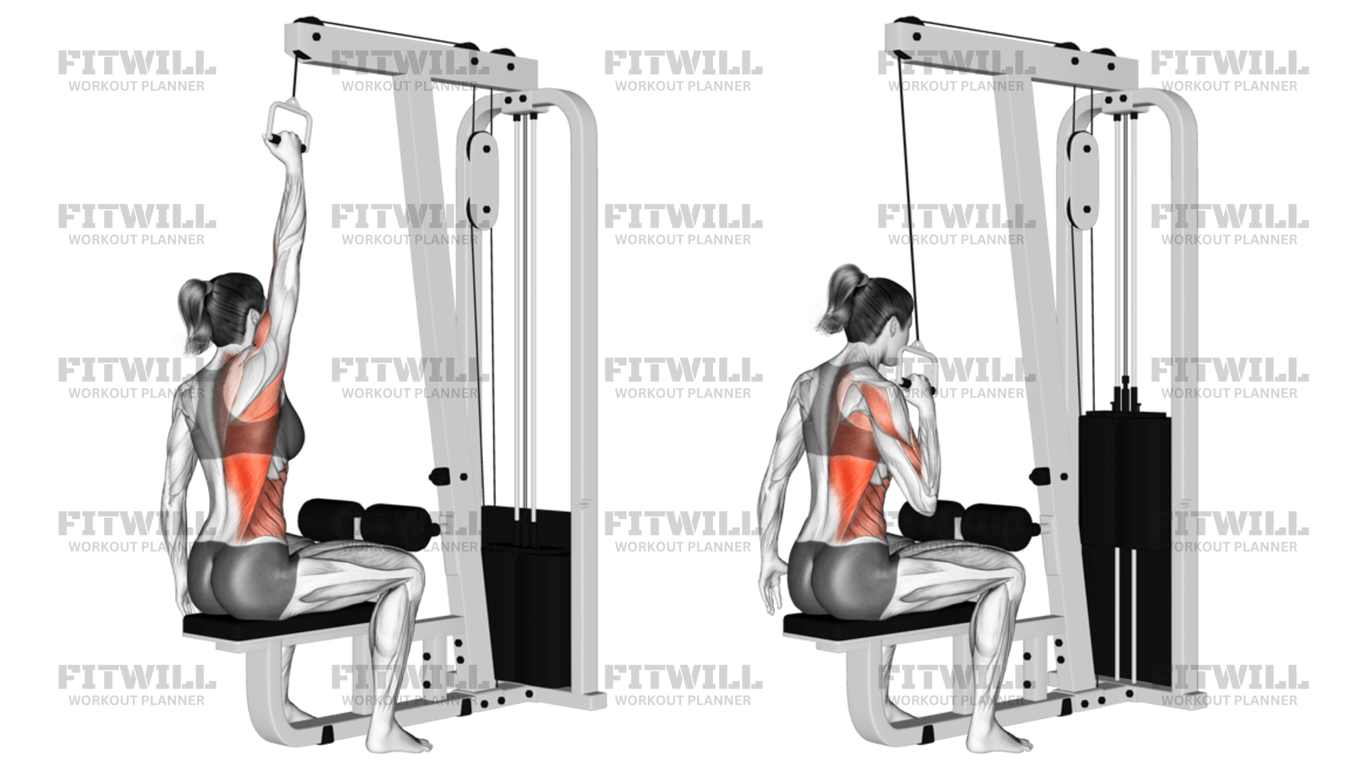 Cable One Arm Lat Pulldown: Exercise Guide, Video, Techniques, Benefits ...