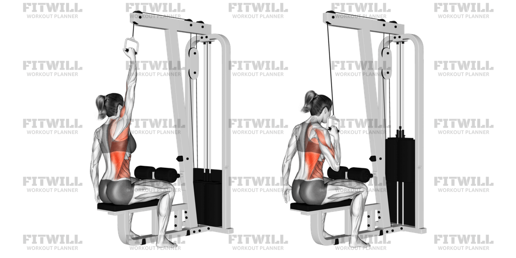 Jalón Al Pecho Con Cable A Un Brazo: Guía de Ejercicios, Video ...