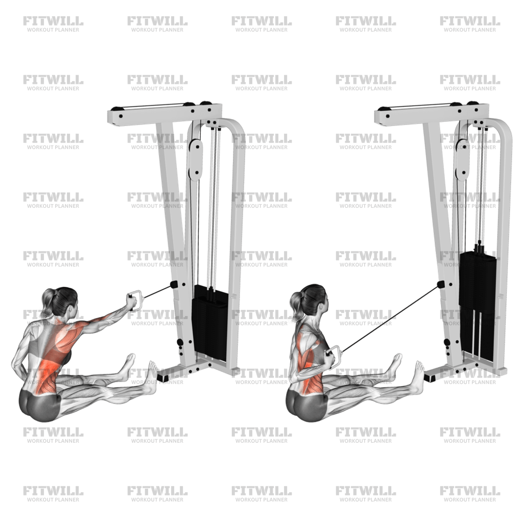 Cable One Arm Twisting Seated Row: Exercise Guide, Video, Techniques ...