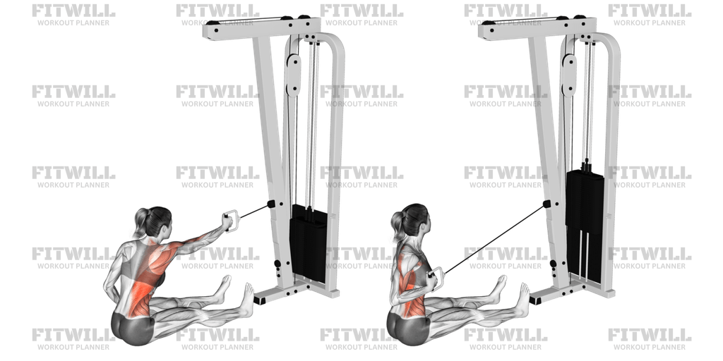 Cable One-Arm Twisting Seated Row: Exercise Guide, Video, Techniques ...
