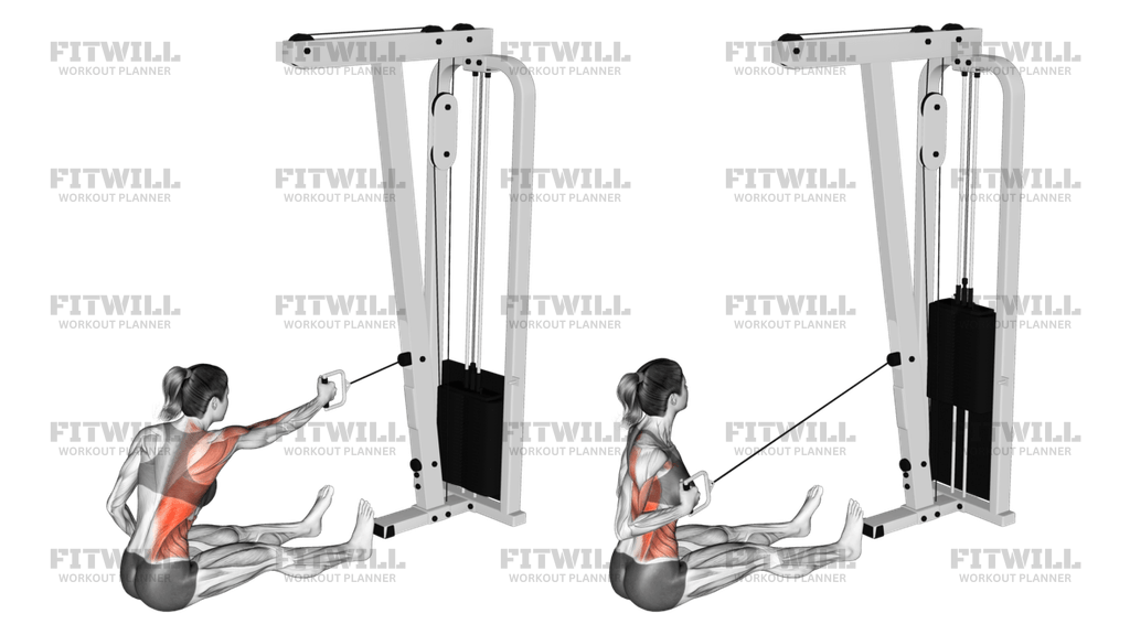 How to do Cable One Arm Twisting Seated Row: Techniques, Benefits, Tips ...