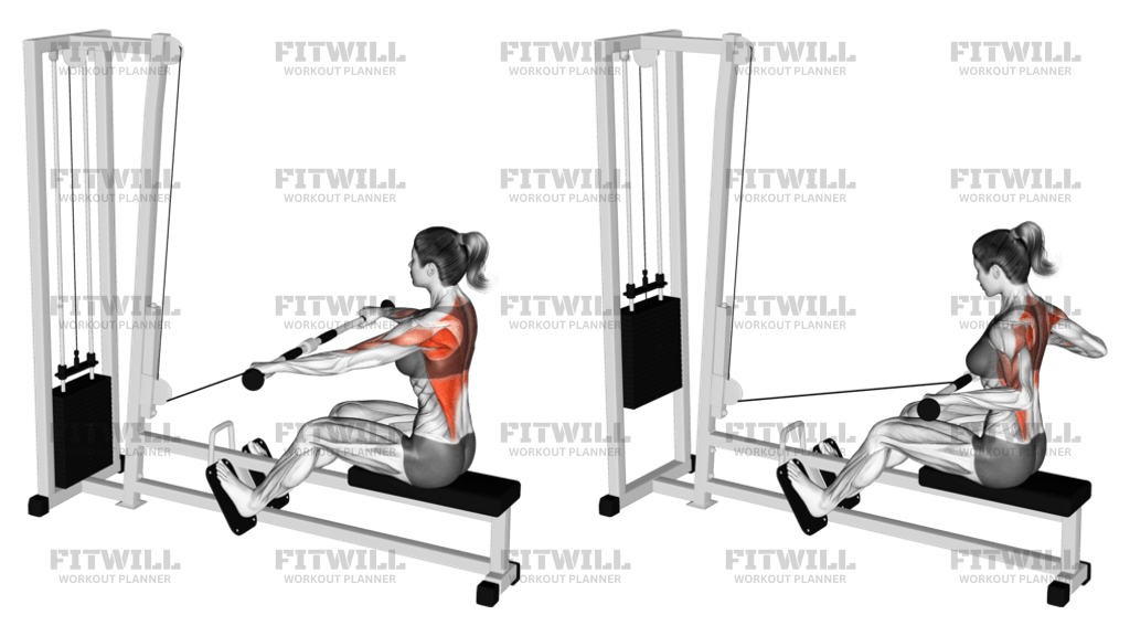 How to do Cable Seated Wide grip Row: Techniques, Benefits, Tips ...