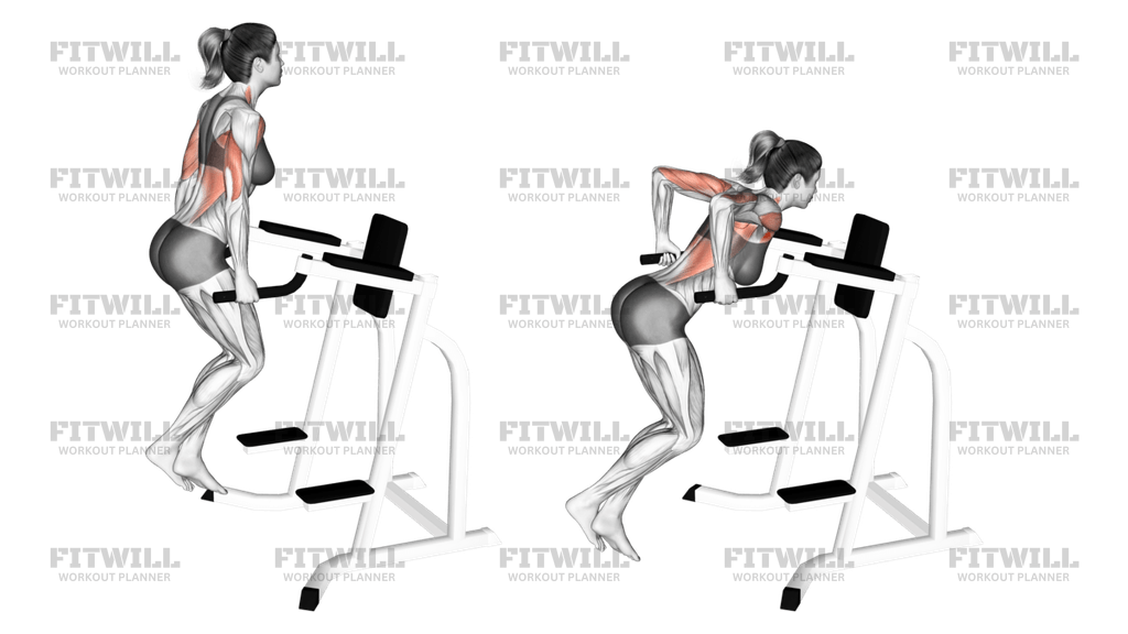 Chest Dip: Exercise Guide, Video, Techniques, Benefits, How to, Muscles ...