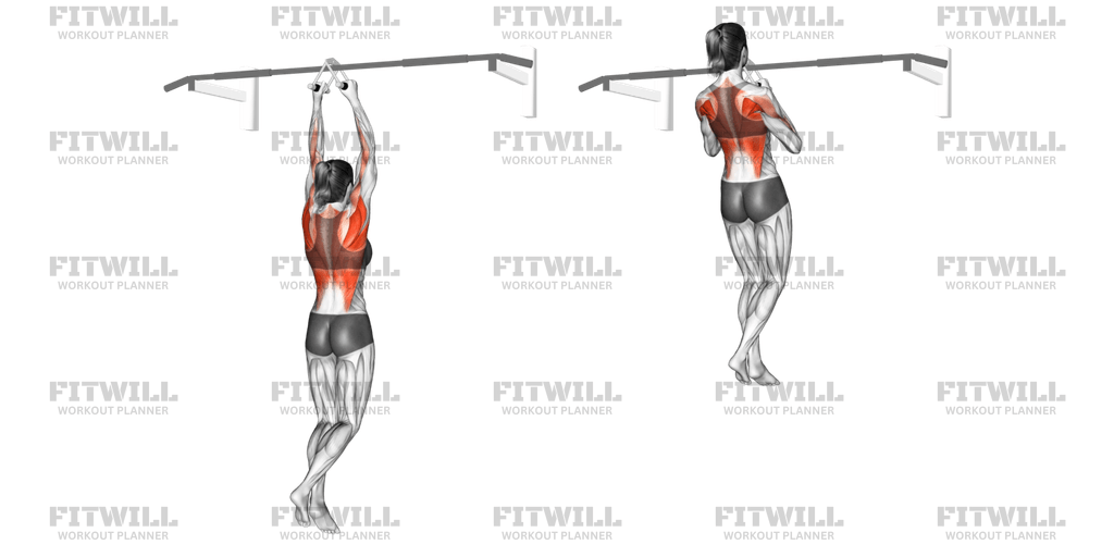 Chin Ups (narrow Parallel Grip): Exercise Guide, Video, Techniques ...