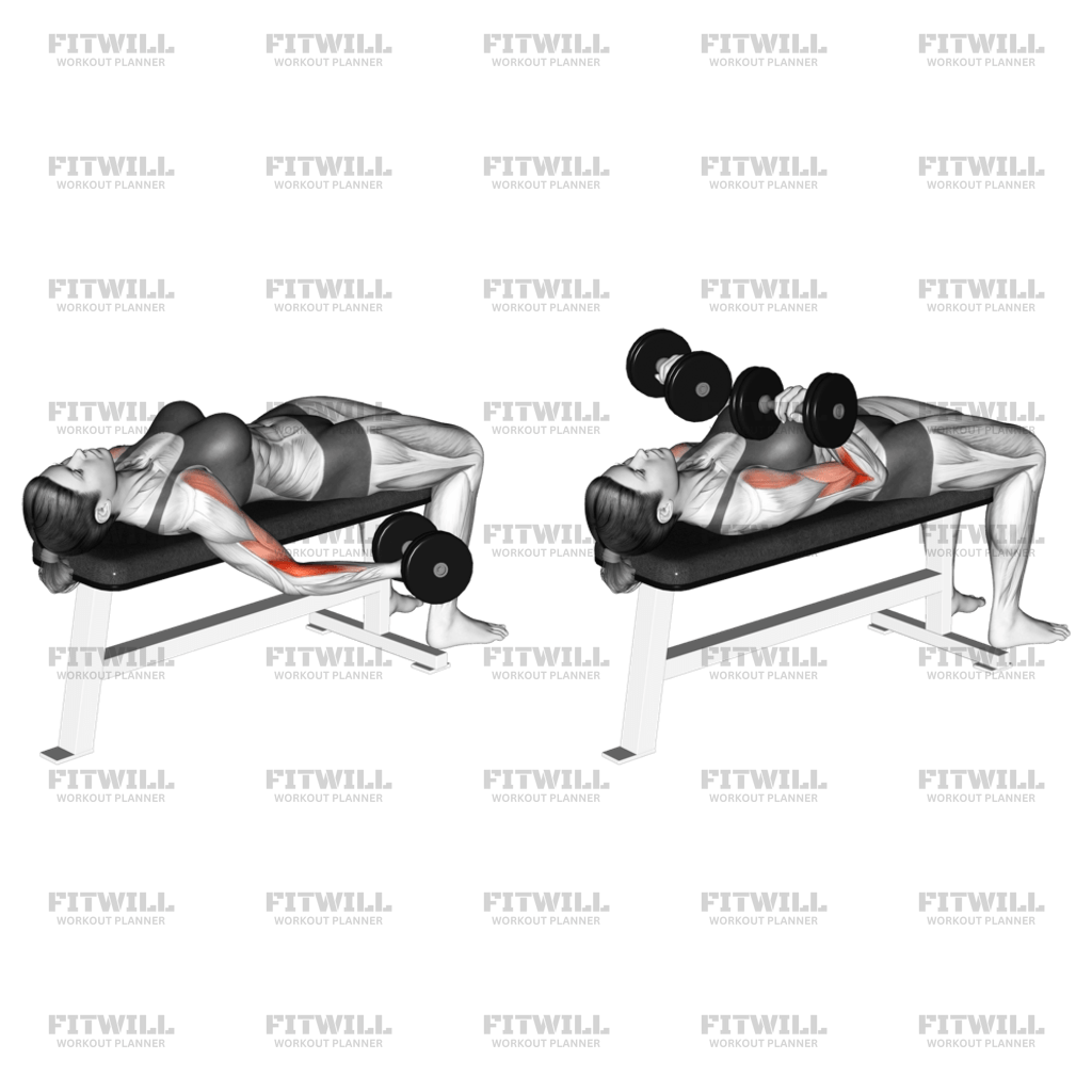 Dumbbell Lying Supine Curl: Exercise Guide, Video, Techniques, Benefits ...