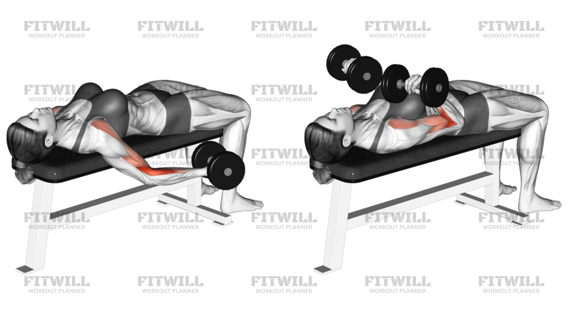 Dumbbell Lying Supine Curl: Exercise Guide, Video, Techniques, Benefits ...