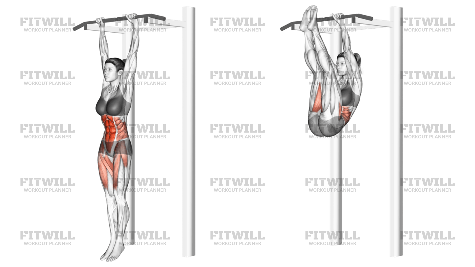 Hanging Straight Leg Hip Raise: Exercise Guide, Video, Techniques ...