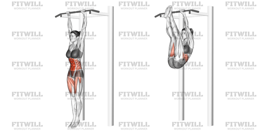 Hanging Straight Leg Hip Raise: Exercise Guide, Video, Techniques ...
