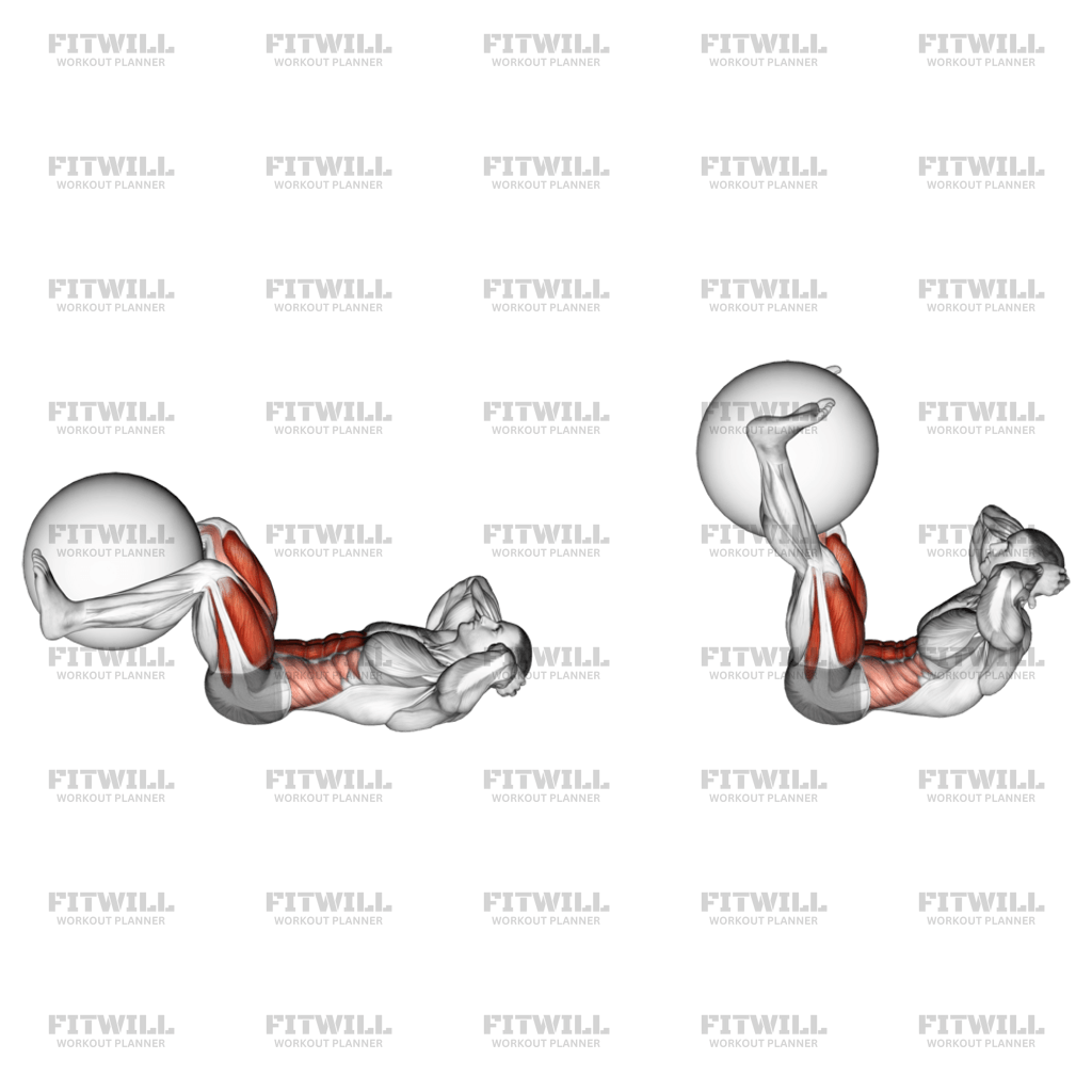 Leg Extension Crunch (with Stability Ball): Exercise Guide, Video ...