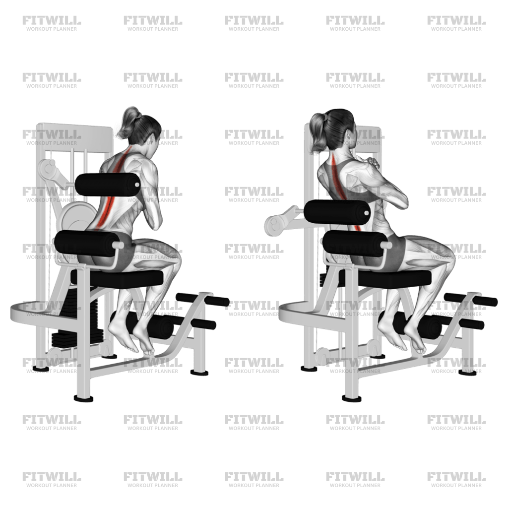 Lever Back Extension: Exercise Guide, Video, Techniques, Benefits, How ...