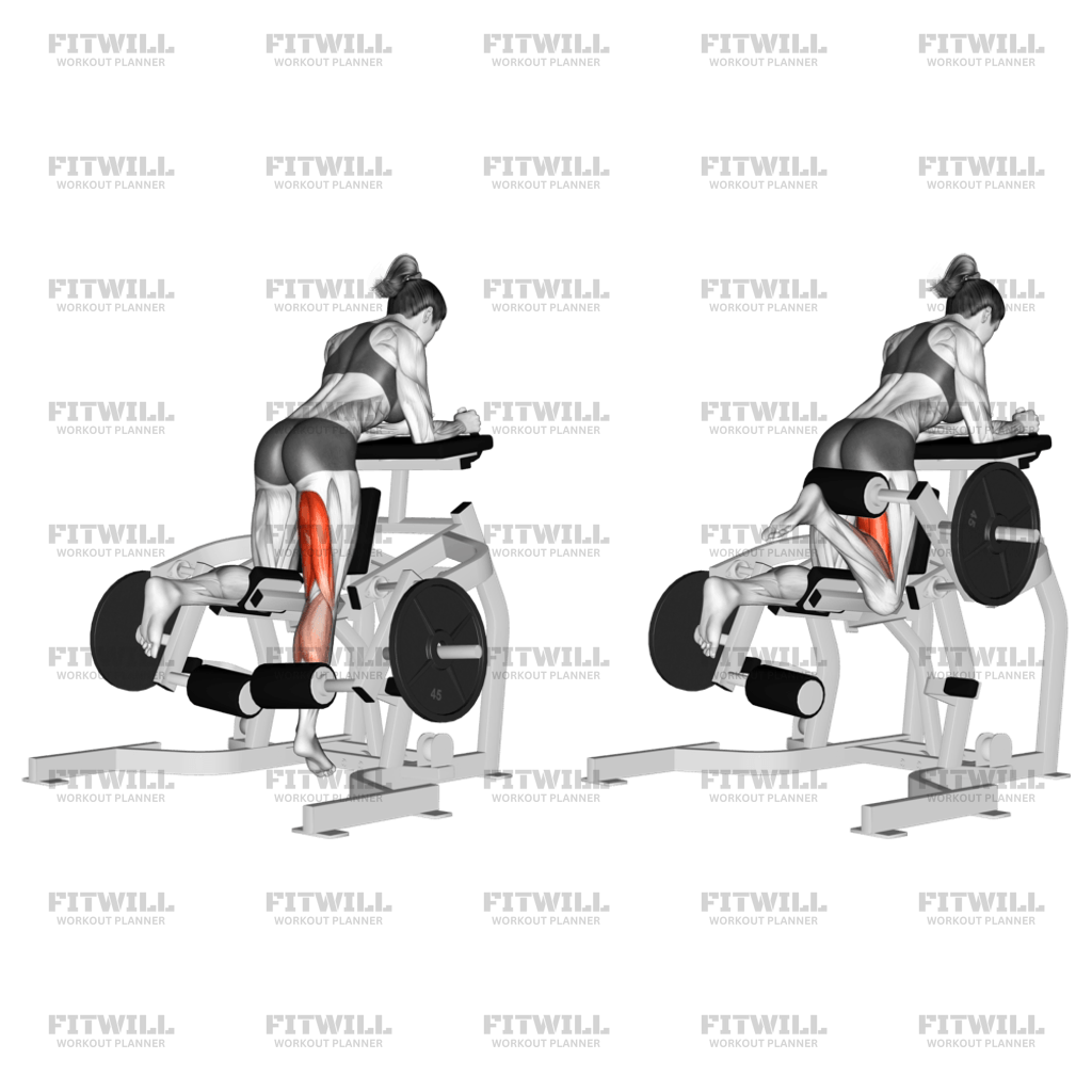 Lever Kneeling Leg Curl (plate Loaded): Exercise Guide, Video, Techniques, Benefits, How to ...