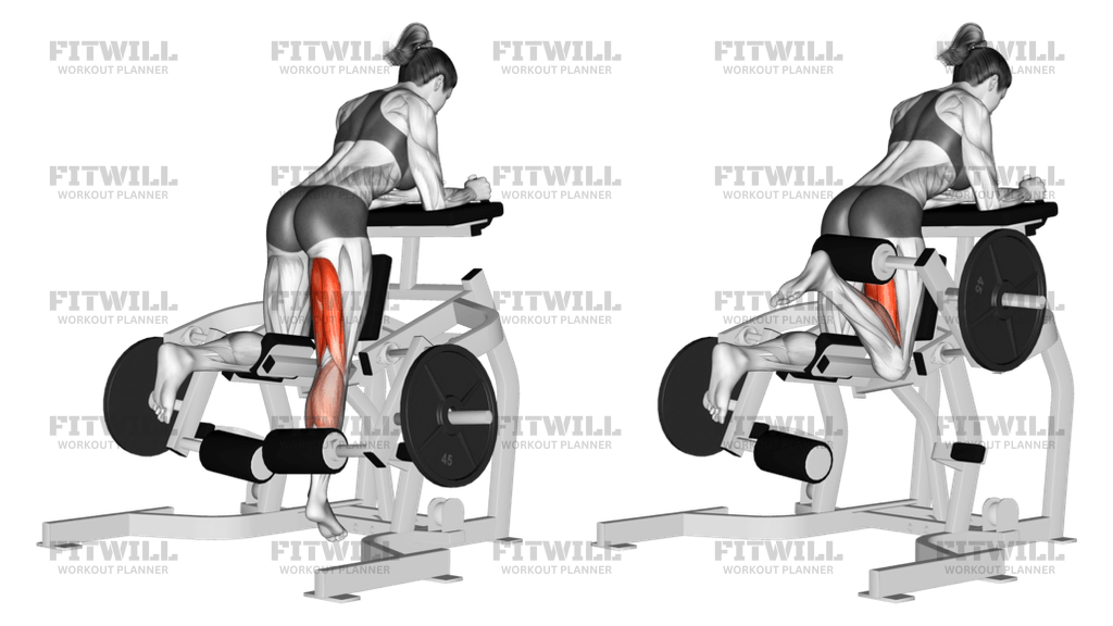 Lever Kneeling Leg Curl Plate Loaded: Exercise Guide, Video, Techniques ...
