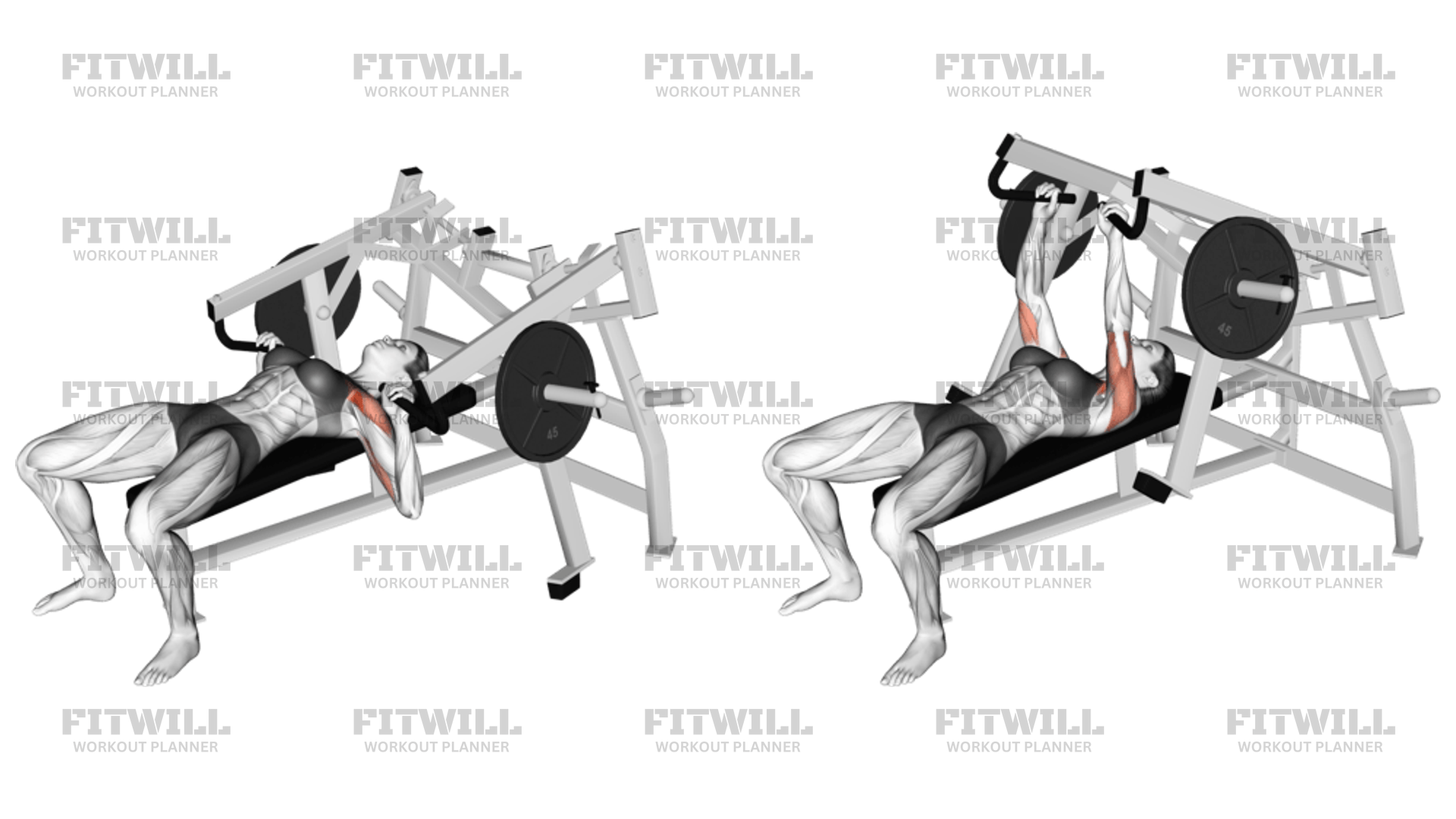 Lever Lying Chest Press (plate Loaded): Exercise Guide, Video ...