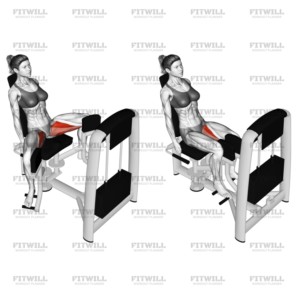 Lever Seated Hip Adduction: Exercise Guide, Video, Techniques, Benefits ...