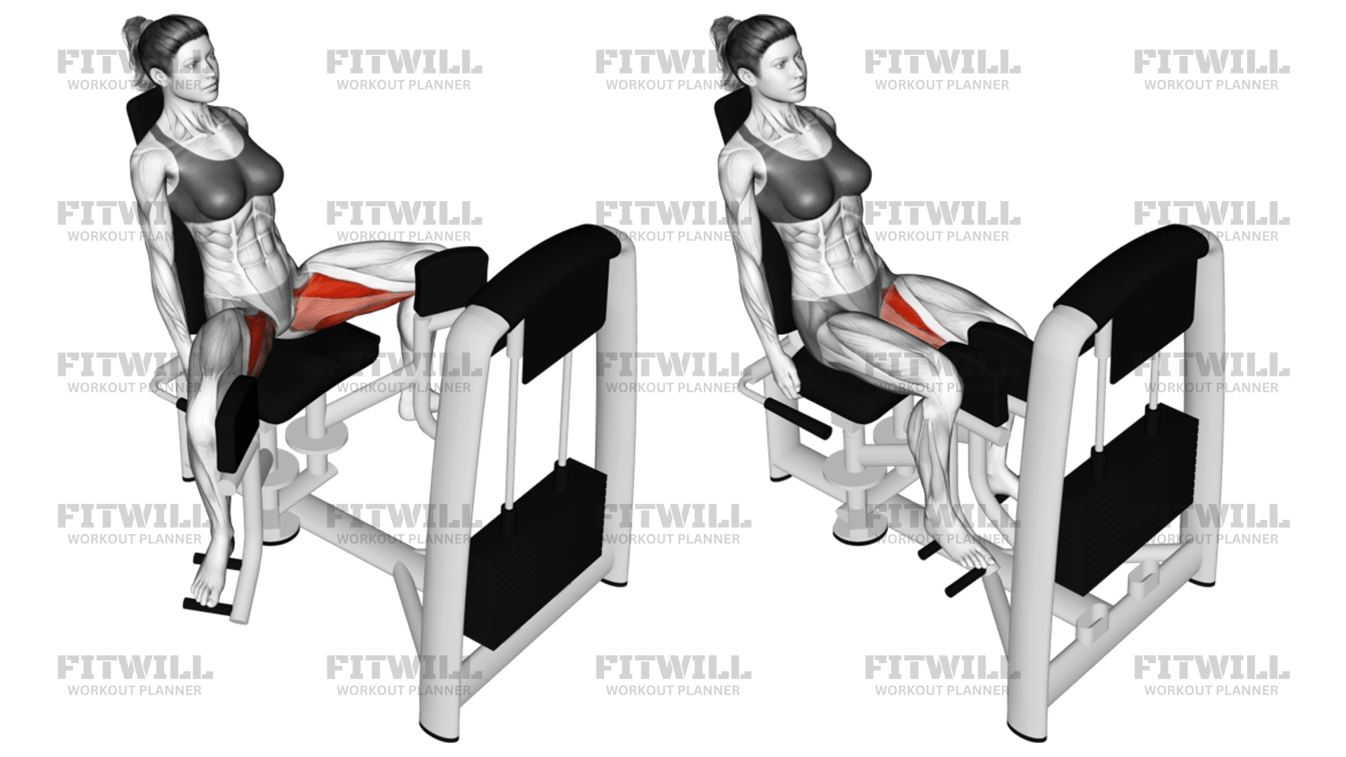 Aducción De Cadera Sentado En Palanca: Guía de Ejercicios, Video ...