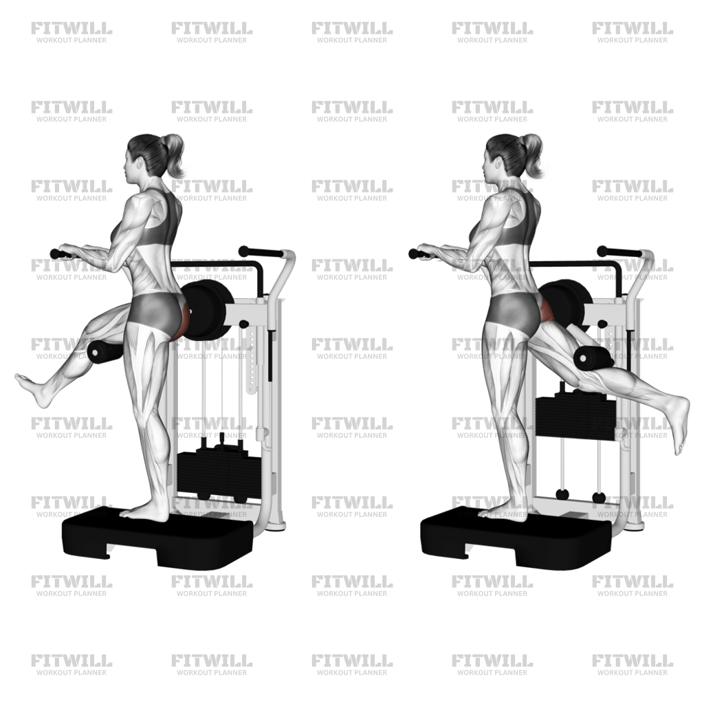 Lever Standing Rear Kick: Exercise Guide, Video, Techniques, Benefits ...