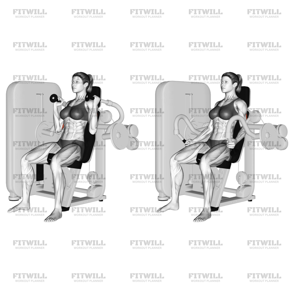 Lever Triceps Extension: Exercise Guide, Video, Techniques, Benefits ...