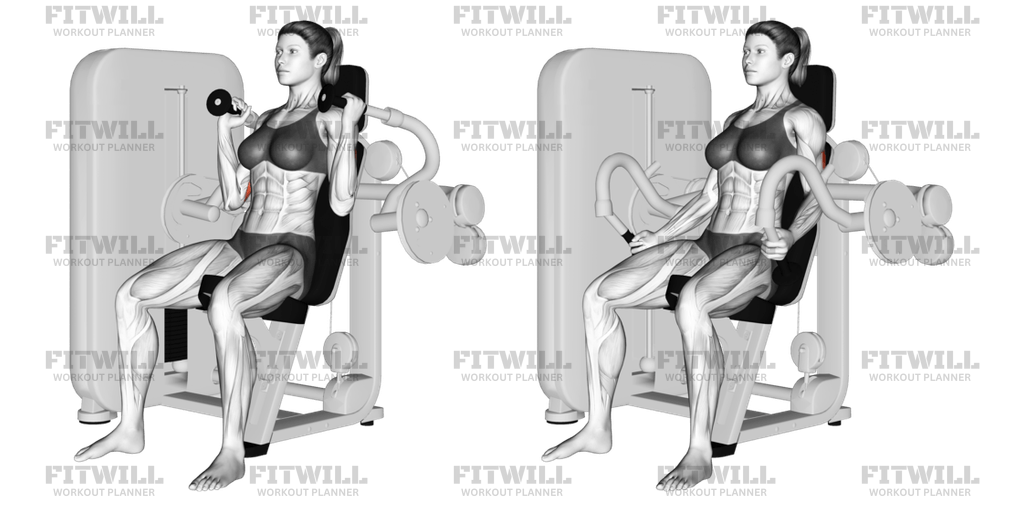 Lever Triceps Extension: Exercise Guide, Video, Techniques, Benefits ...