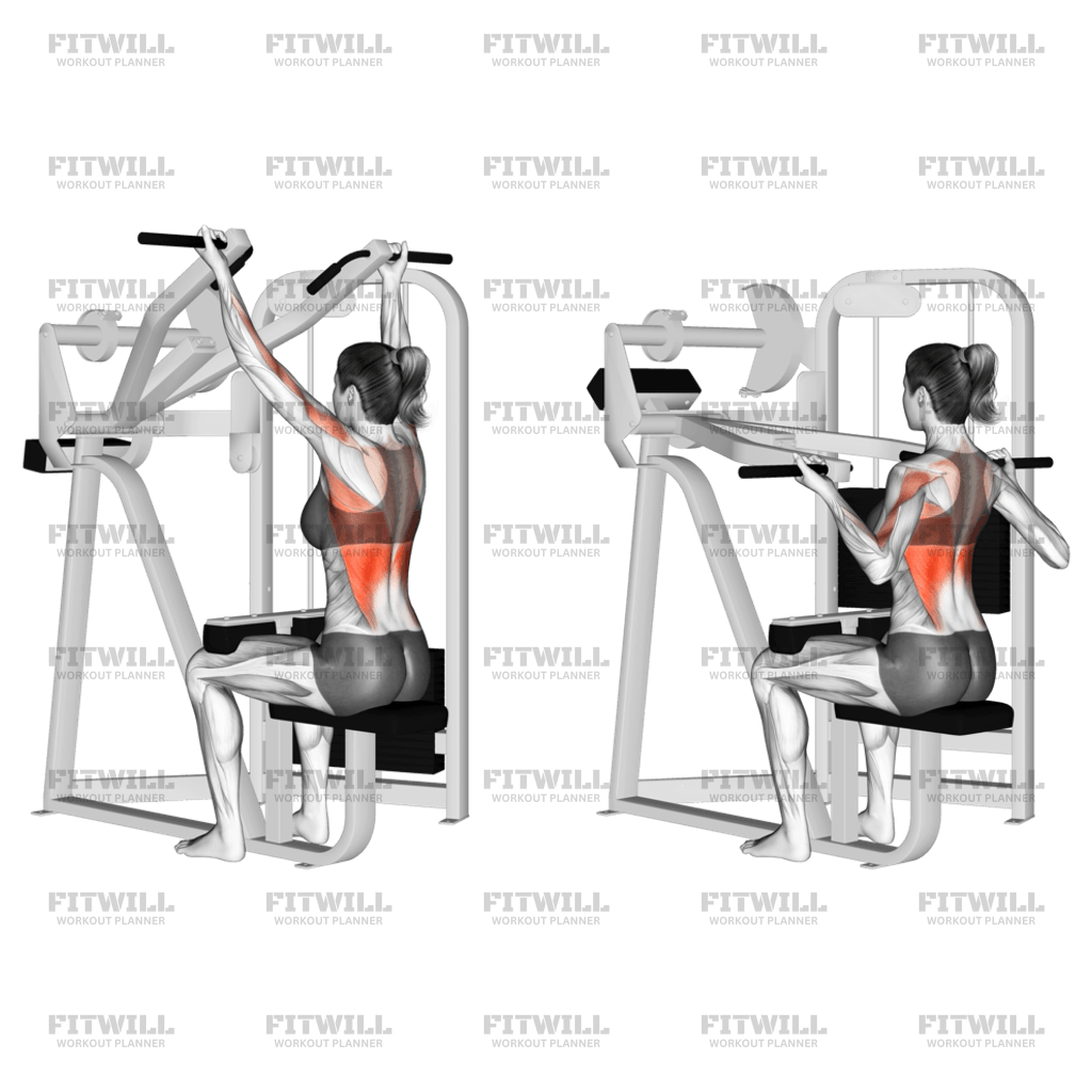 Reverse Grip Machine Lat Pulldown: Exercise Guide, Video, Techniques ...