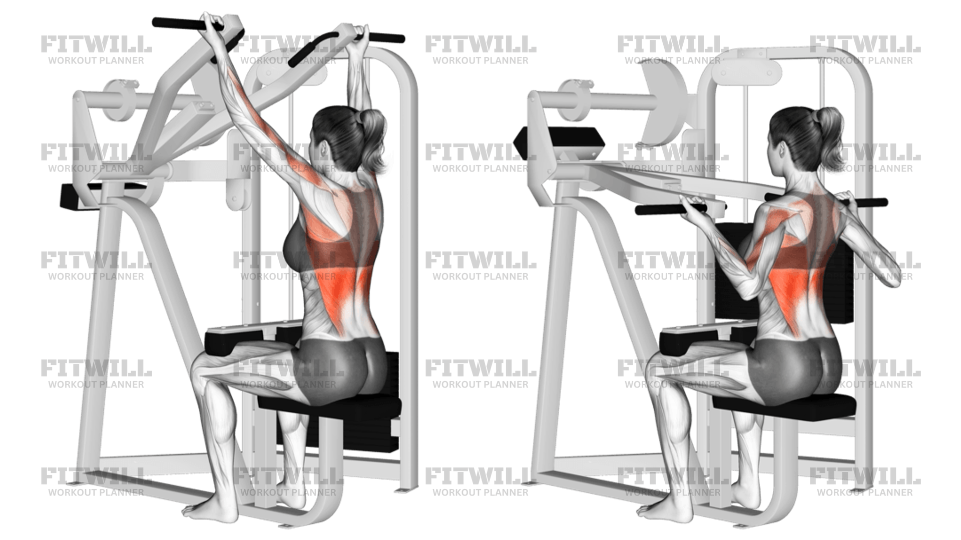 Reverse Grip Machine Lat Pulldown: Exercise Guide, Video, Techniques ...