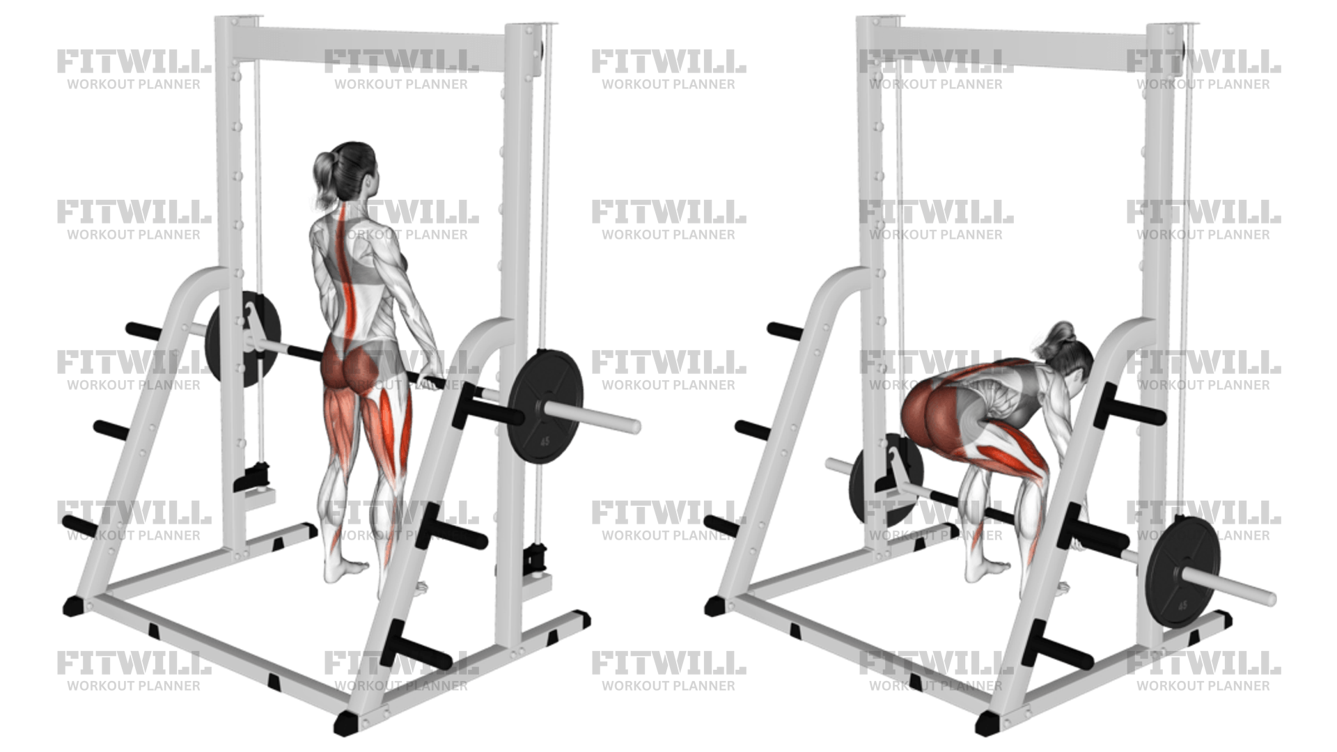 Peso Muerto En Máquina Smith: Guía de Ejercicios, Video, Técnicas ...