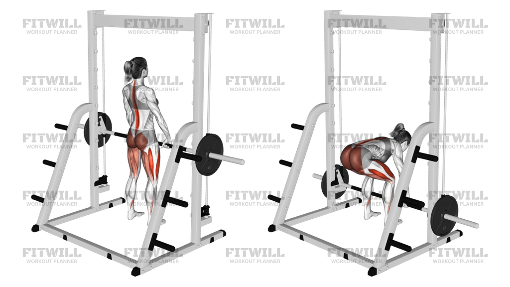 Smith Deadlift: Exercise Guide, Video, Techniques, Benefits, How to ...