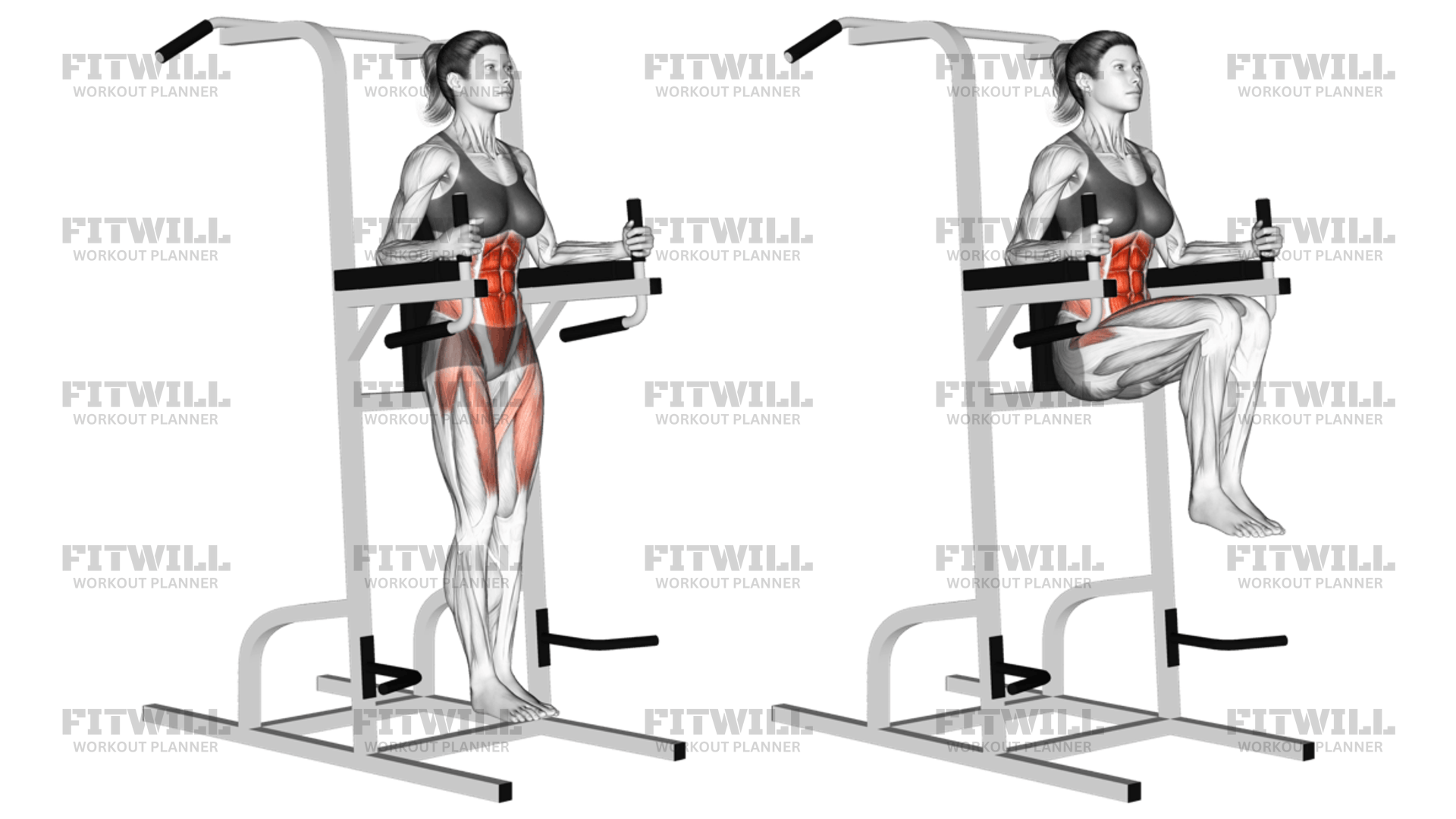 Vertical Leg Raise (on Parallel Bars) (VERSION 2): Exercise Guide ...