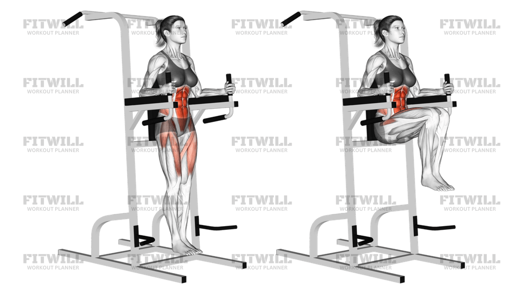 Vertical Leg Raise (on Parallel Bars) (VERSION 2): Exercise Guide ...