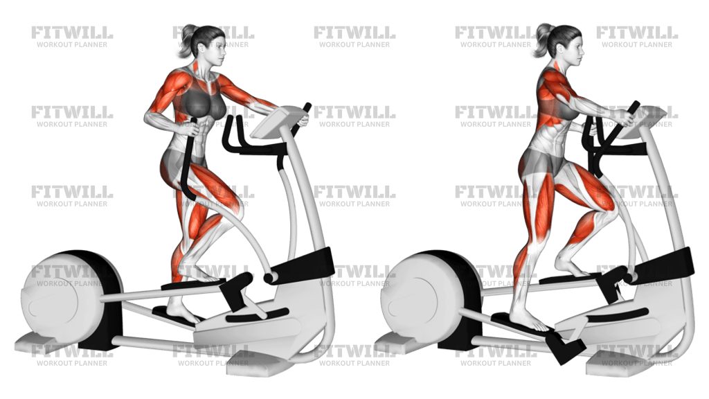 Walk Elliptical Cross Trainer: Exercise Guide, Video, Techniques ...