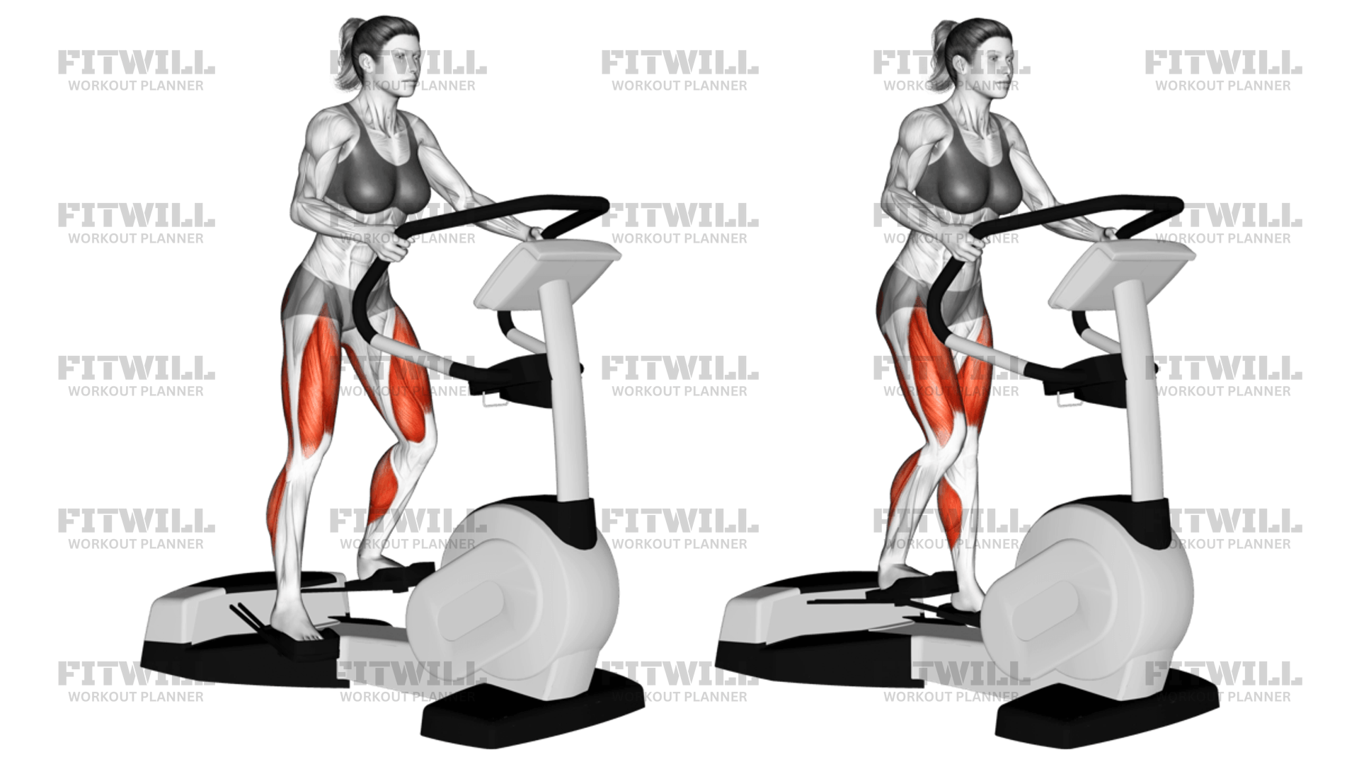 Walk Wave Machine: Exercise Guide, Video, Techniques, Benefits, How to ...