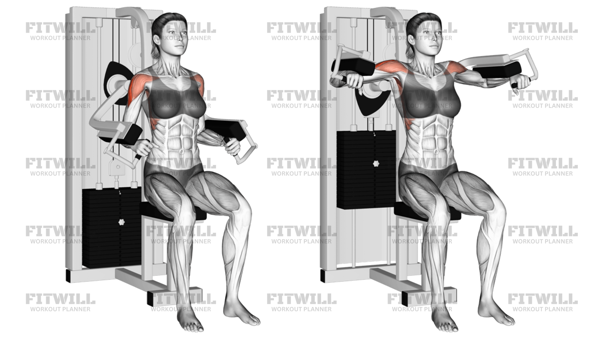 Lever Lateral Raise: Exercise Guide, Video, Techniques, Benefits, How to, Muscles Worked, Tips ...