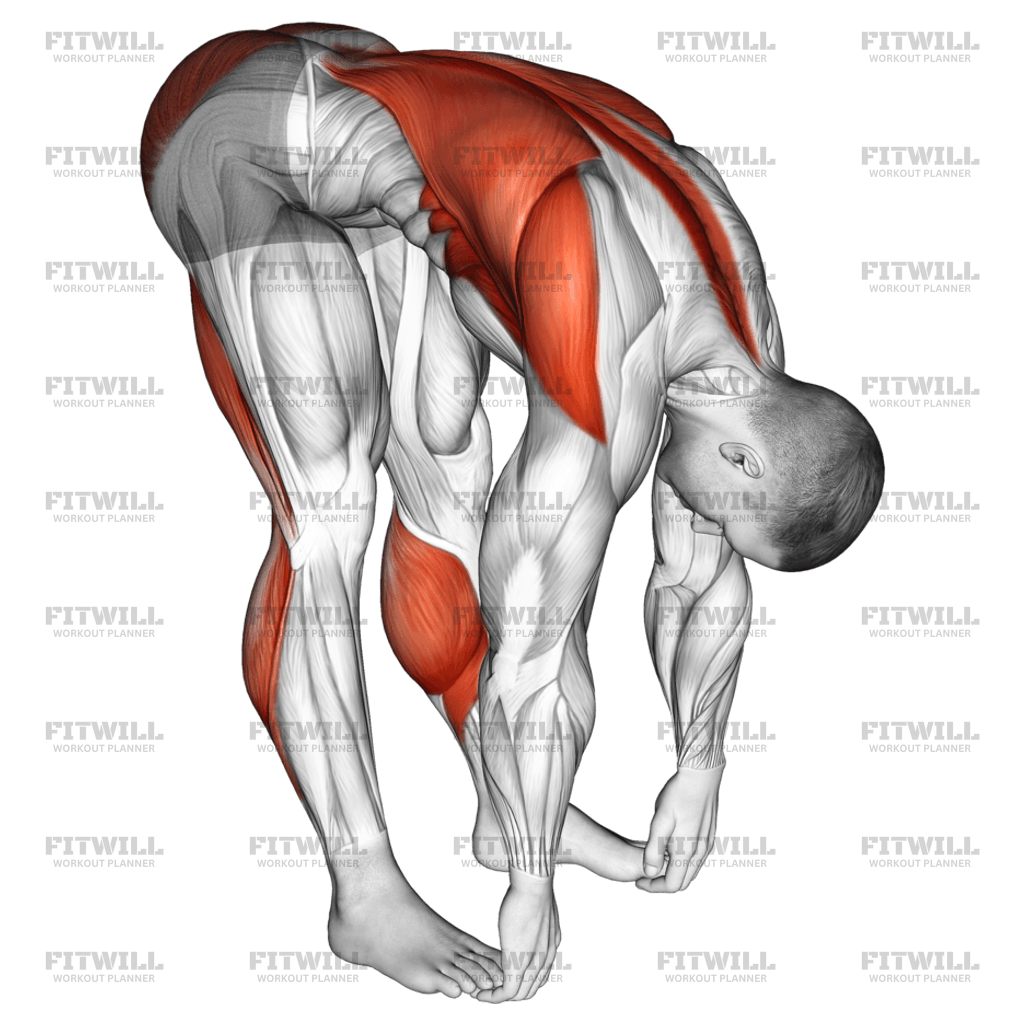 Standing Hamstrings And Back Stretch: Exercise Guide, Video, Techniques ...