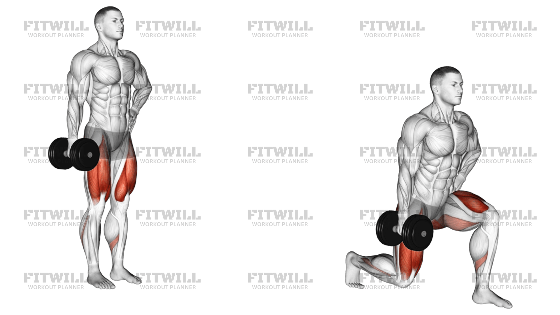 Dumbbell Contralateral Forward Lunge: Exercise Guide, Techniques ...