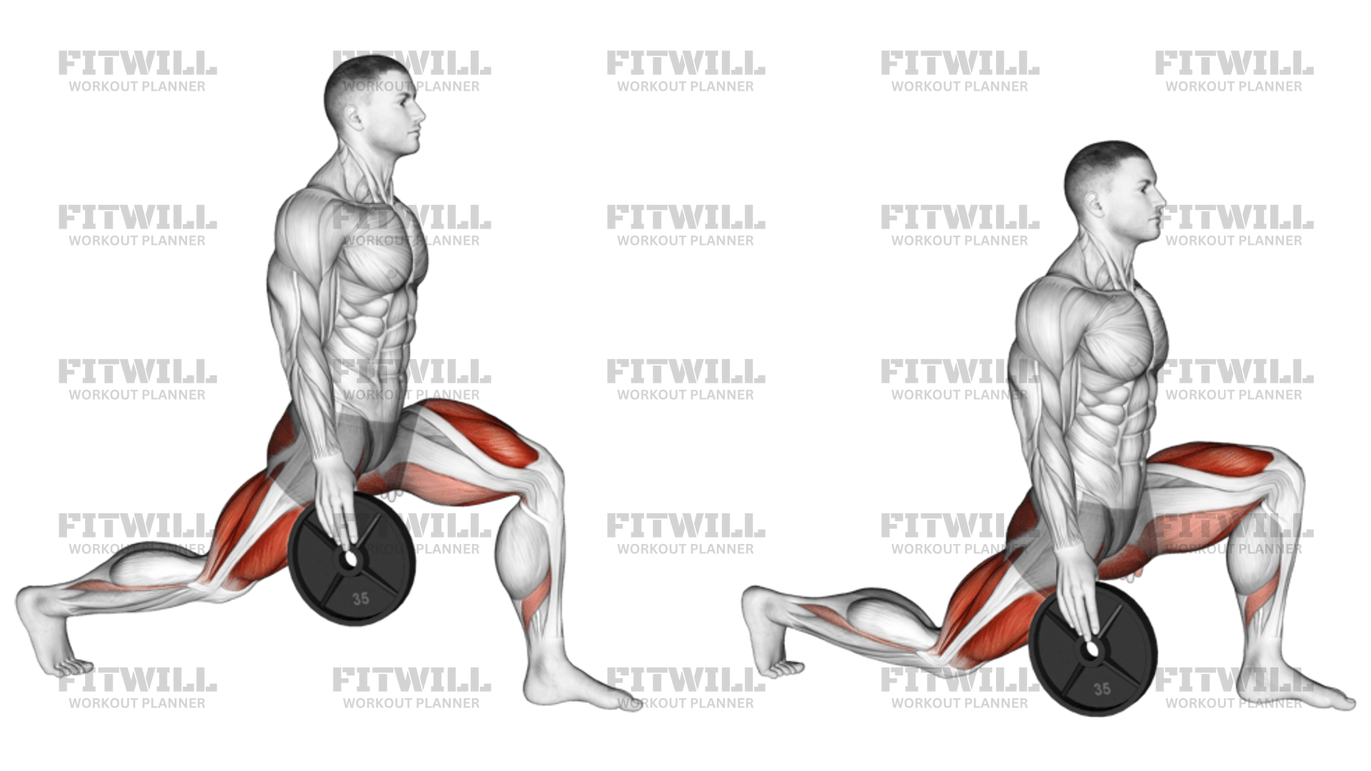 Zancada Estirada Con Peso: Guía de Ejercicios, Video, Técnicas ...