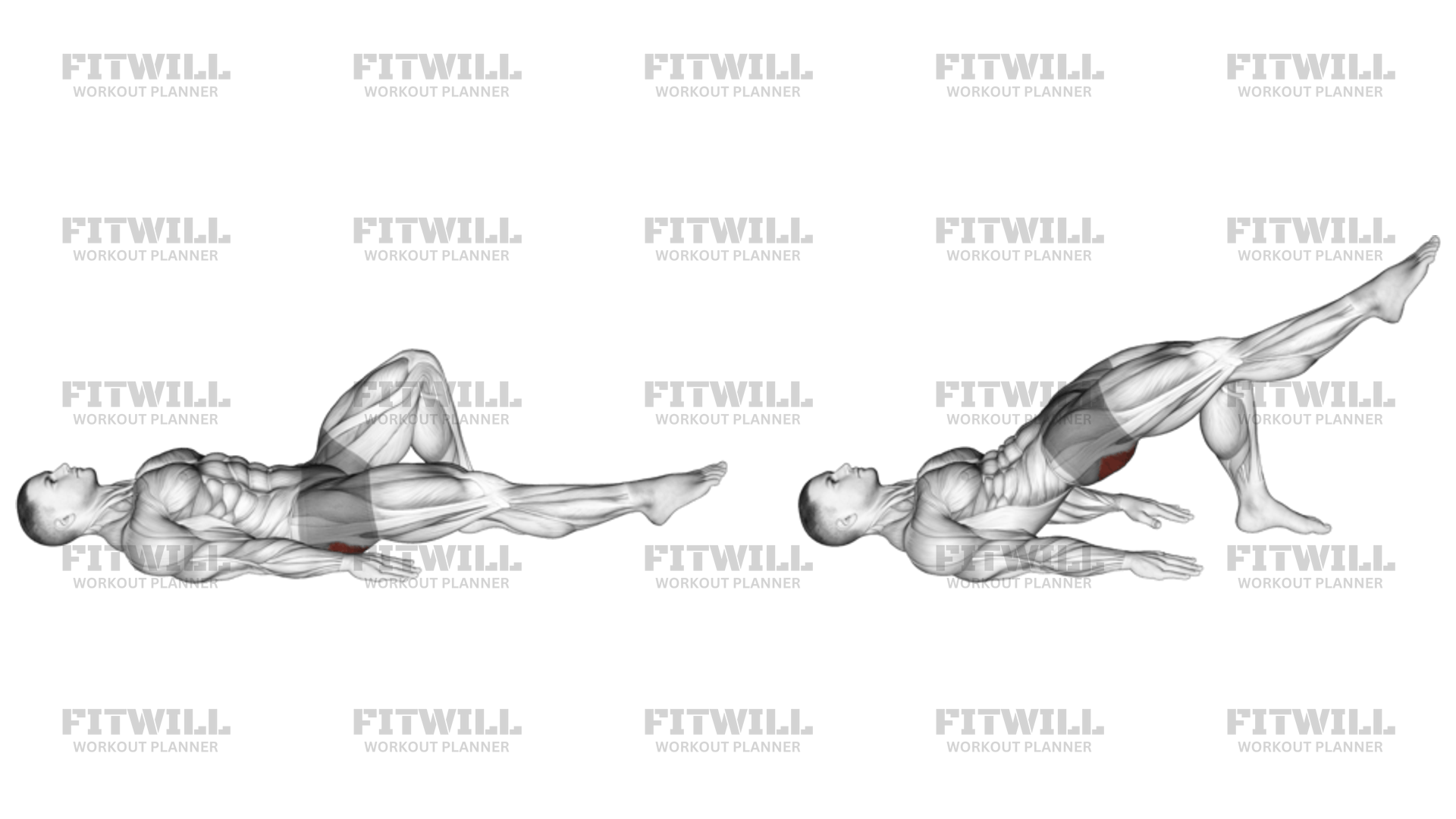 Single Leg Bridge With Outstretched Leg: Exercise Guide, Video ...