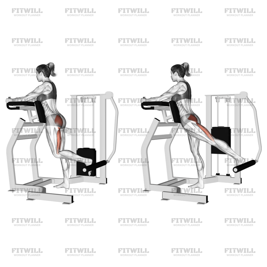 Lever Standing Hip Extension: Exercise Guide, Video, Techniques ...