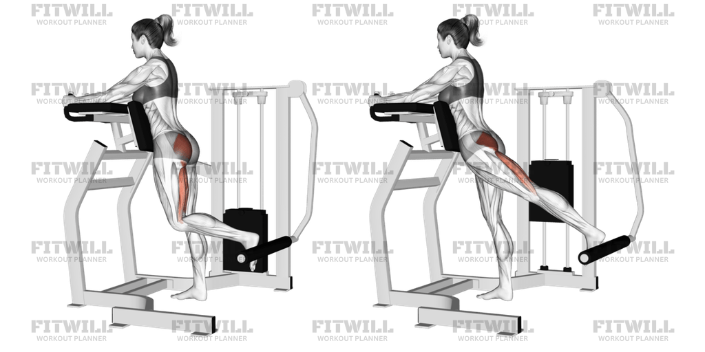 Lever Standing Hip Extension: Exercise Guide, Video, Techniques ...