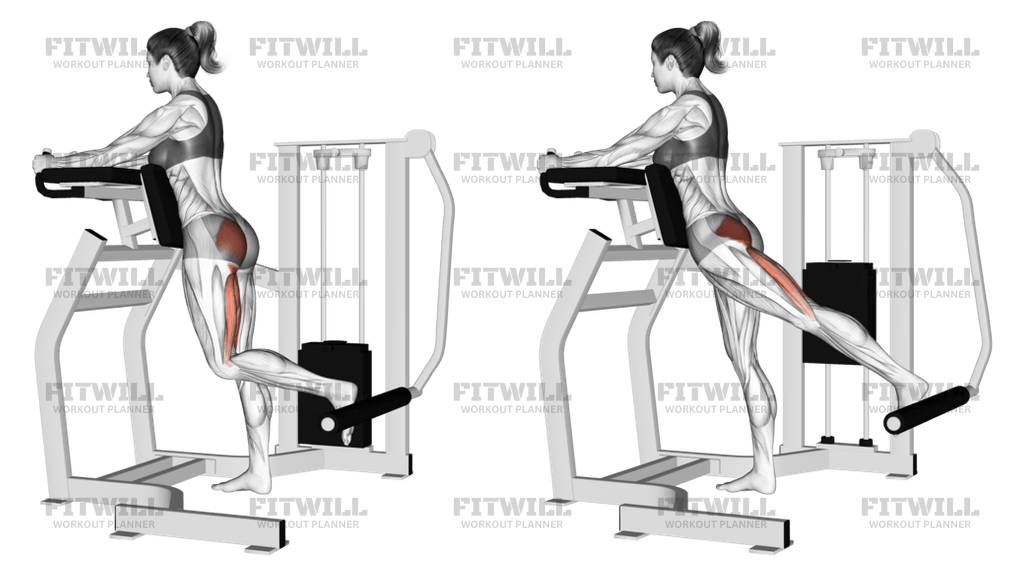 Lever Standing Hip Extension: Exercise Guide, Video, Techniques ...