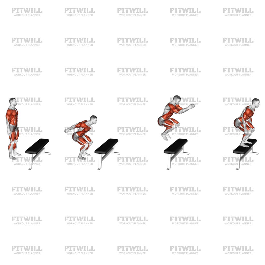 Jump Box: Exercise Guide, Techniques, Benefits, How to, Muscles Worked ...