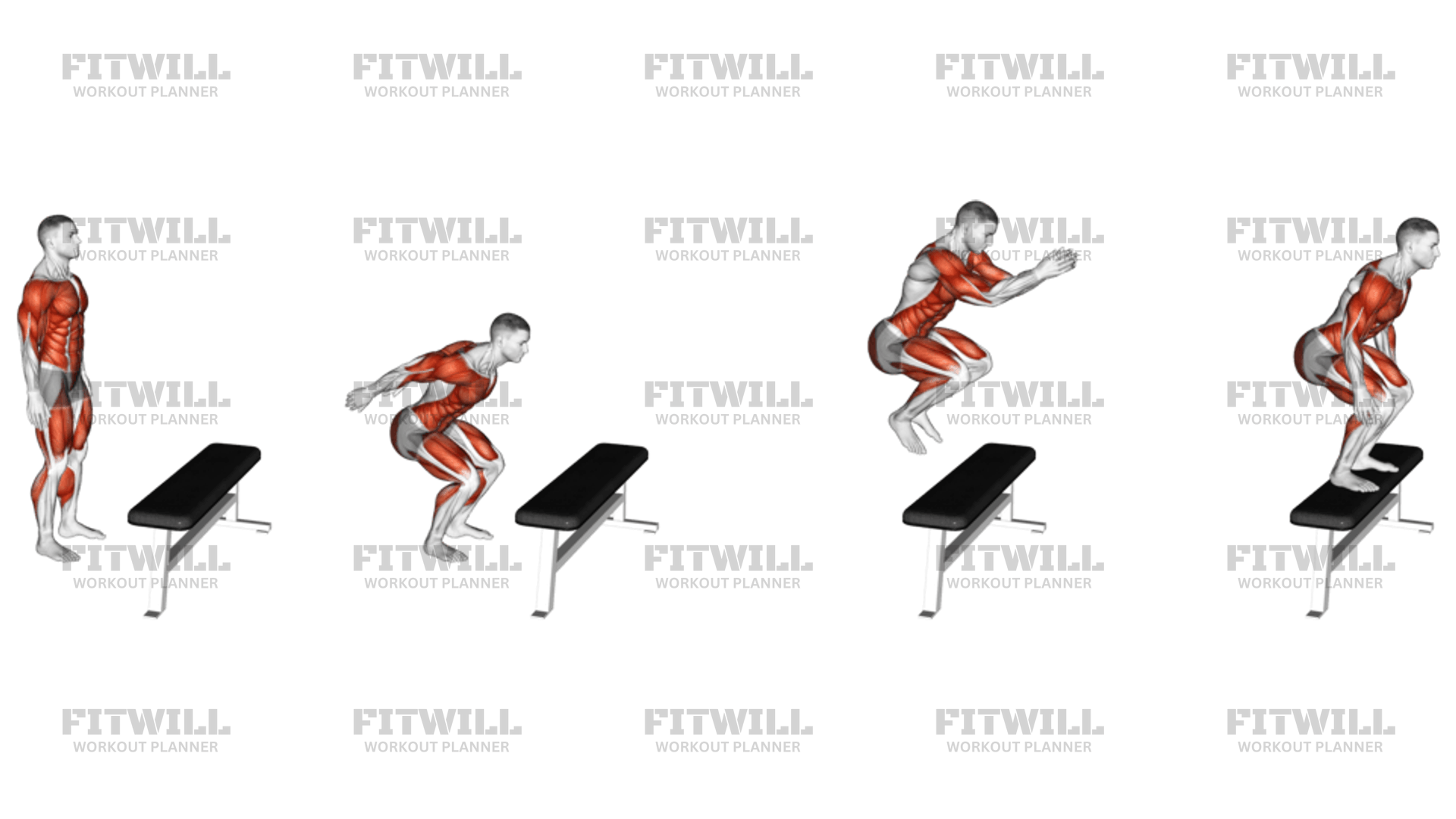 Jump Box: Exercise Guide, Techniques, Benefits, How to, Muscles Worked ...